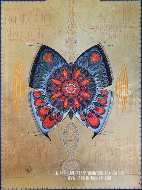 Le papillon,transformation – Caroline Manière